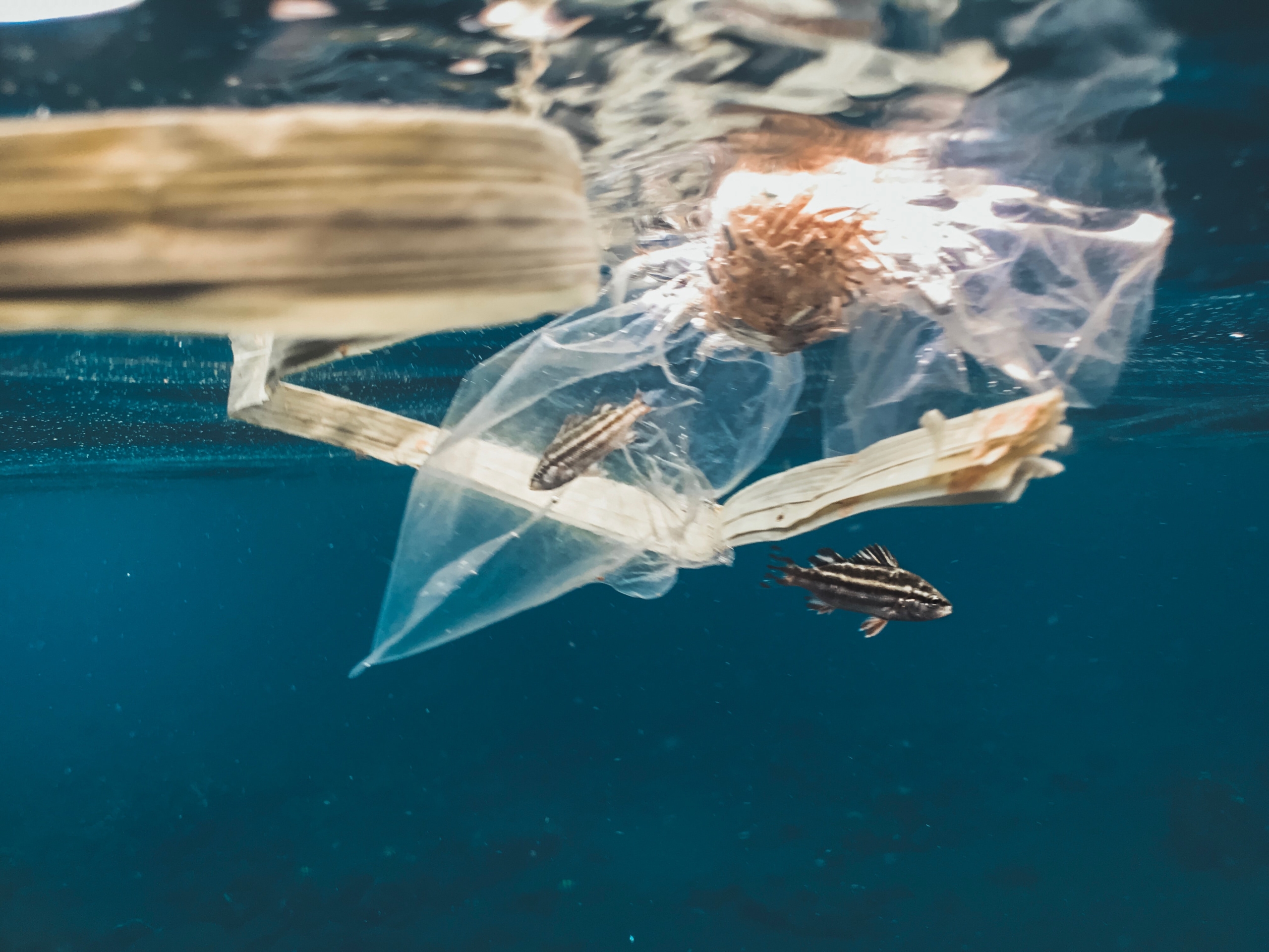 Plastic Soup Floors: van plastic soep tot tegel - Braventure